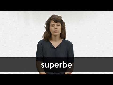 English Translation of “SUPERBE” | Collins French-English Dictionary