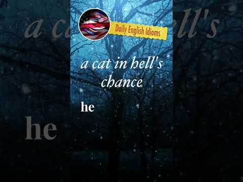 a cat in hell's chance - Daily English Idioms