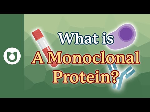 Multiple Myeloma Basics 1: What is a monoclonal protein (m-spike ...