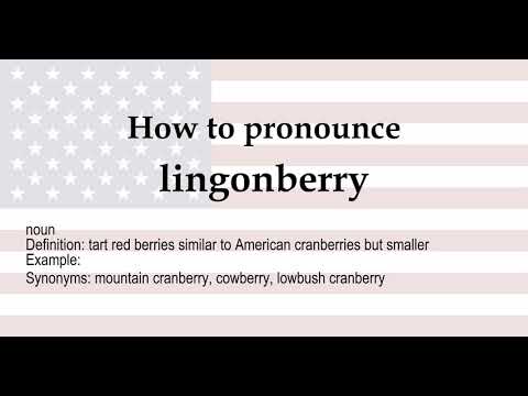 How to pronounce 'lingonberry' + meaning