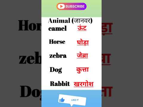 Sabhi janvaron ke Naam#short #shortvideo @rinkiyadav-zh6hg