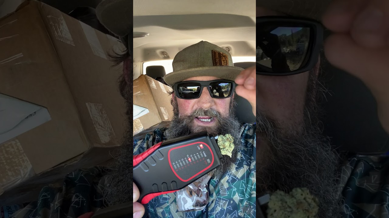 MENDOCINO MONDAY'S W/MIKEY B-The Moisture Meter