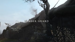 Amber Guard - Showcase at Skyrim Special Edition Nexus - Mods and Community