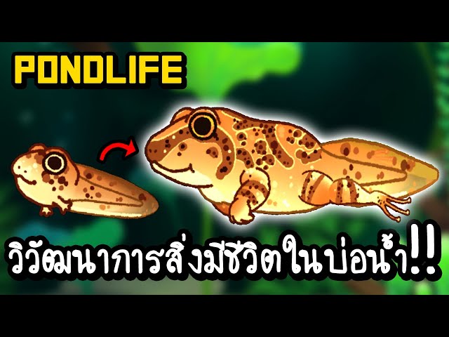 วิวัฒนาการสิ่งมีชีวิตในบ่อน้ำ!! | Pondlife [ เกมส์มือถือ ] | วิดีโอครีเอเตอร์ :: OS