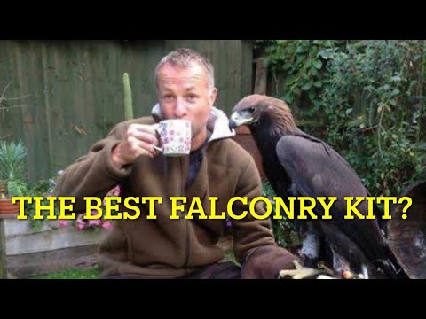 FALCONRY: what’s the best kit/what do I use ?