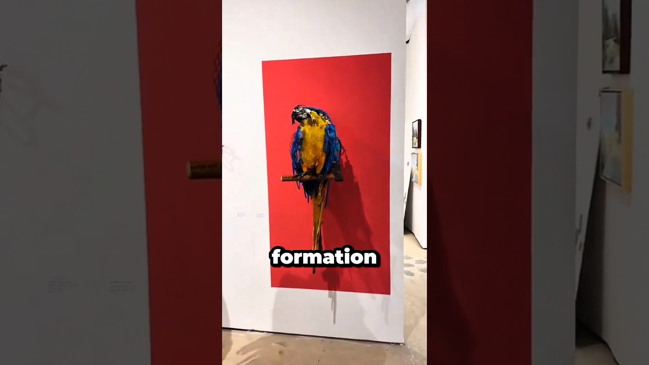 This Art Gallery Will Mess With Your Brains 🤯