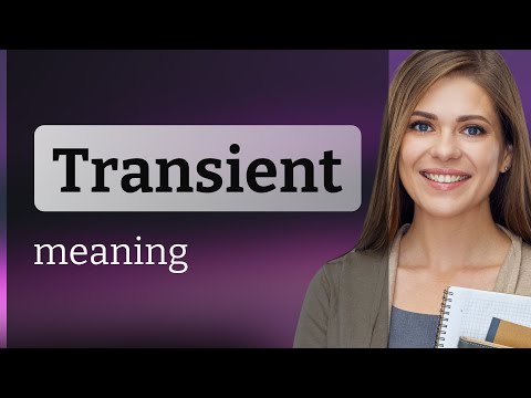 Transient — meaning of TRANSIENT
