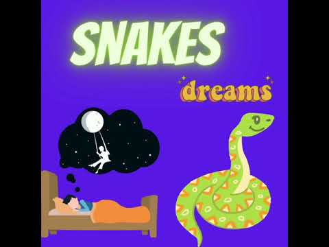 SNAKES Dream Interpretation ๐โ๏ธ