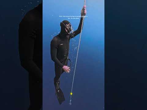 You’re just trying to escape life for a bit… so you dive. | Freedive Academy Panglao