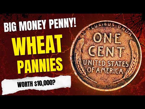 These Wheat Pennies Are Super Rare and Worth BIG Money – Watch Before You Sell!