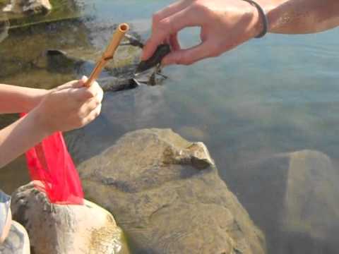 Crawdad pinched my finger