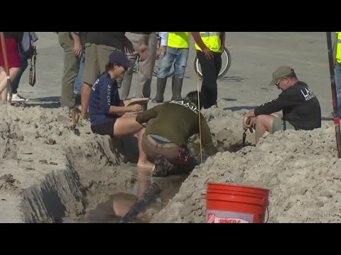 19th Century shipwreck uncovered in Daytona Beach
