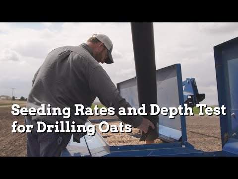 Seeding Rates and Depth Test for Drilling Oats - Practical Cover Croppers