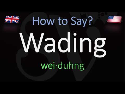 How to Pronounce Wading? (CORRECTLY) Meaning & Pronunciation