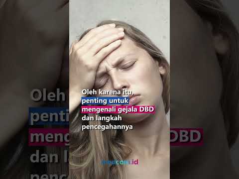 CATAT! 3 GEJALA DEMAM BERDARAH YANG PERLU DIWASPADAI