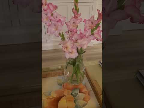 Bouquet of Gladiolus: #gladiolus #bouquetofflowers #flowers #pretty #flowerarrangement #bouquet