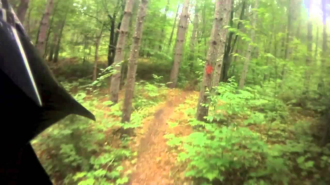 Newberry to Sandtown ORV Trail