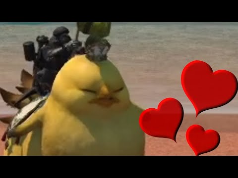 Steam Community :: Video :: FFXIV - Parade Chocobo, my love