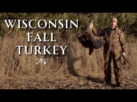 WISCONSIN FALL TURKEY HUNTING
