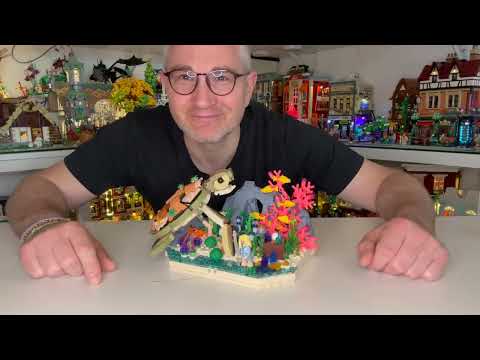 Review Funwhole F9072 Sea Turtle Coral Dream / Korallenriff