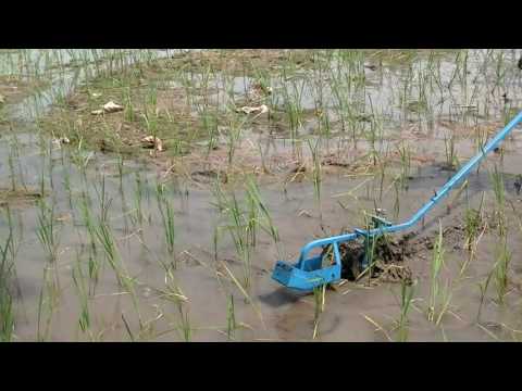 Cono Weeder at Best Price in India