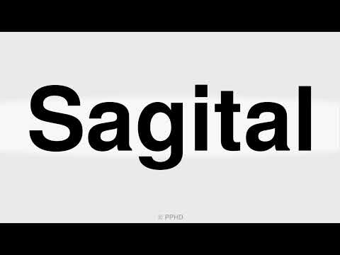 How to Correctly Pronounce Sagital In English