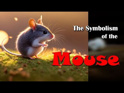The symbolism of the Mouse