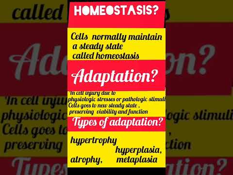 #necrosis#cellinjury#homeostasis#adaptation#necrosis#atrophy#hyperplasia #pathology#hypertrophy