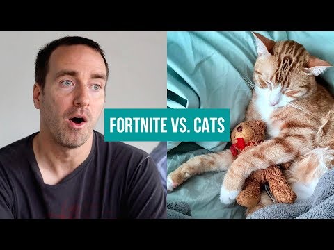 Cat Sitter App MEOWTEL or Video Game Studio PLAYFUL? — Finding the Next Big Investment
