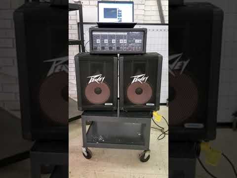 GovDeals: Peavey Speakers and Amp