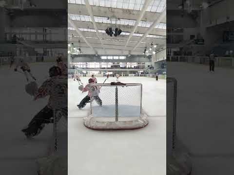 Festiwal Hokeja Poland vs Annecy France Bauer World Cup Series Tours France