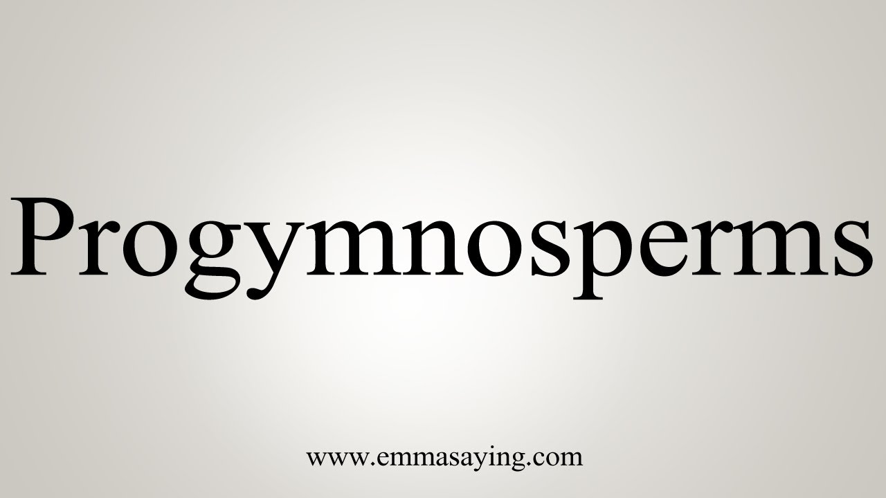 How To Say Progymnosperms