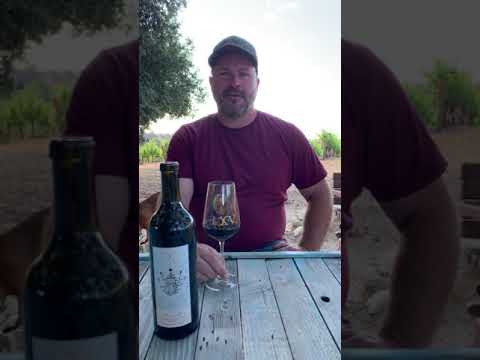 LXV 2019 the Spell: Winemaker's Notes