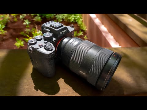 Sony A7S III: Extreme low light