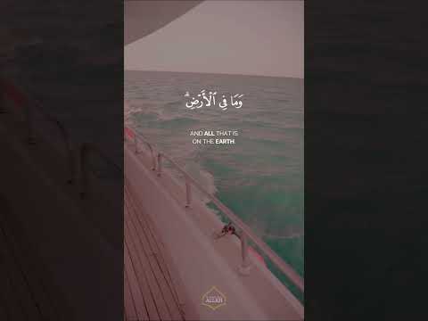 Surah Al Baqarah | Islam Sobhi | سورة البقرة | اسلام صبحي