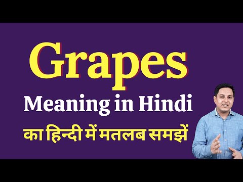 Grapes meaning in Hindi | Grapes ka kya matlab hota hai | Spoken English Class