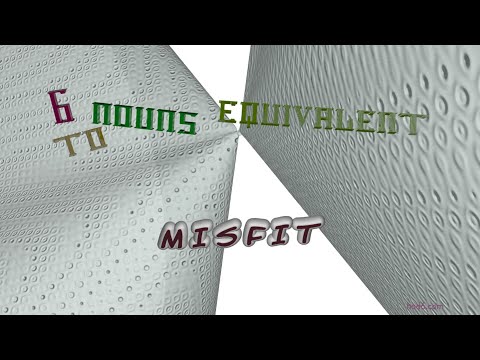 misfit - 6 nouns which are synonym of misfit (sentence examples)