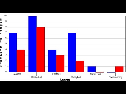 Double Bar Graph Mini Lesson