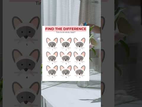 Find the difference #17 #brain #easy #hard