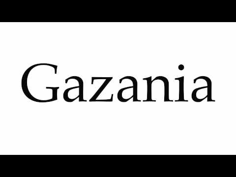 How to Pronounce Gazania