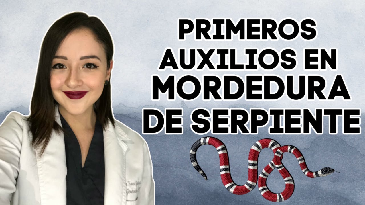 What to do if you get bitten by a snake? 🐍┃Initial management by Dr. Ana Guajardo