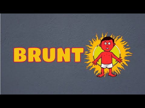 What Does BRUNT Means || Meanings And Definitions With Example in ENGLISH