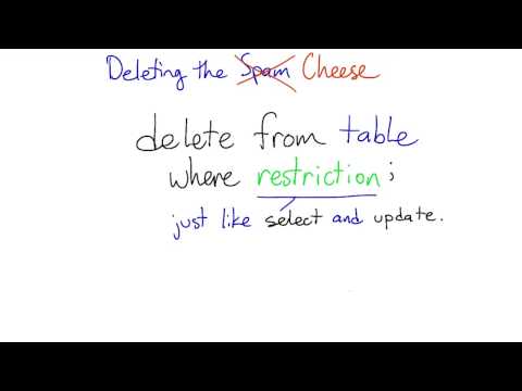 Learn Deleting the Cheese Intro to Relational Databases - Mind Luster