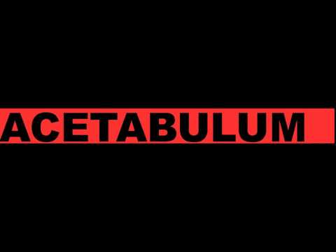ðī How to PRONOUNCE ACETABULUM ðī