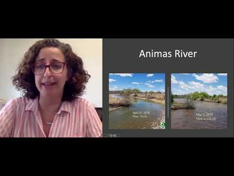 4CLS presents The Archaeology of the Aztec North Great House with Dr. Michelle Turner