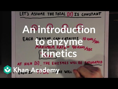 An introduction to enzyme kinetics | Chemical Processes | MCAT | Khan Academy