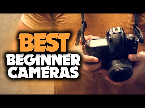 Best DSLR For Beginners in 2023 (Top 5 Picks For Any Budget)