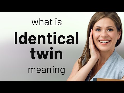 Identical twin | IDENTICAL TWIN meaning
