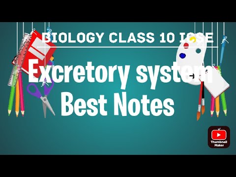 Excretory System || Class 10 ICSE|| Notes Biology ||