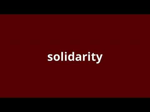 what is the meaning of solidarity